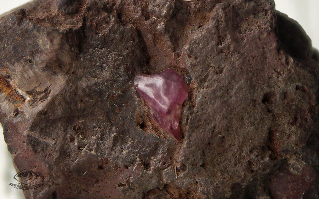 fieldgemology.org where passion for gemology (gemmology) and traveling ...