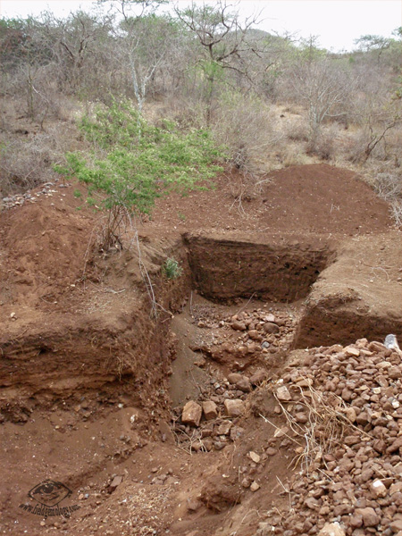 fieldgemology.org where passion for gemology (gemmology) and traveling ...